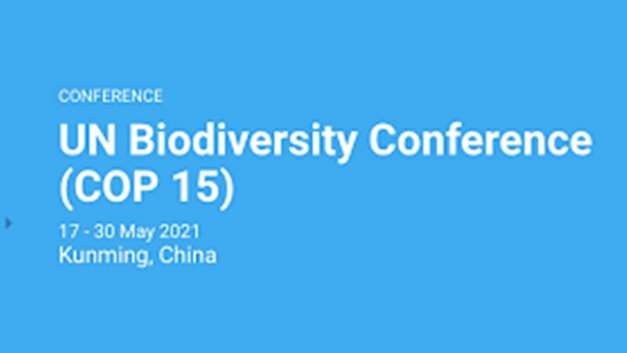 COP 15 thảo luận chiến lược mới về quản trị và khởi động quy trình mới ...