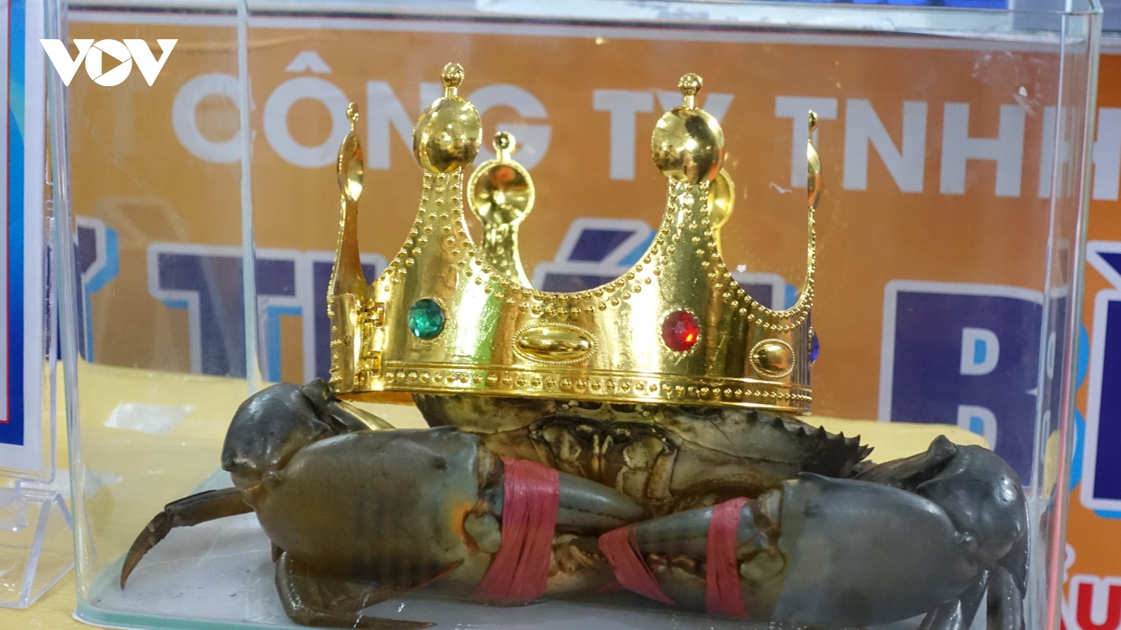 Lịch Thi đấu Bóng đá Hôm Nay (29/7): Chelsea đá Trận Giao Hữu Cuối ...