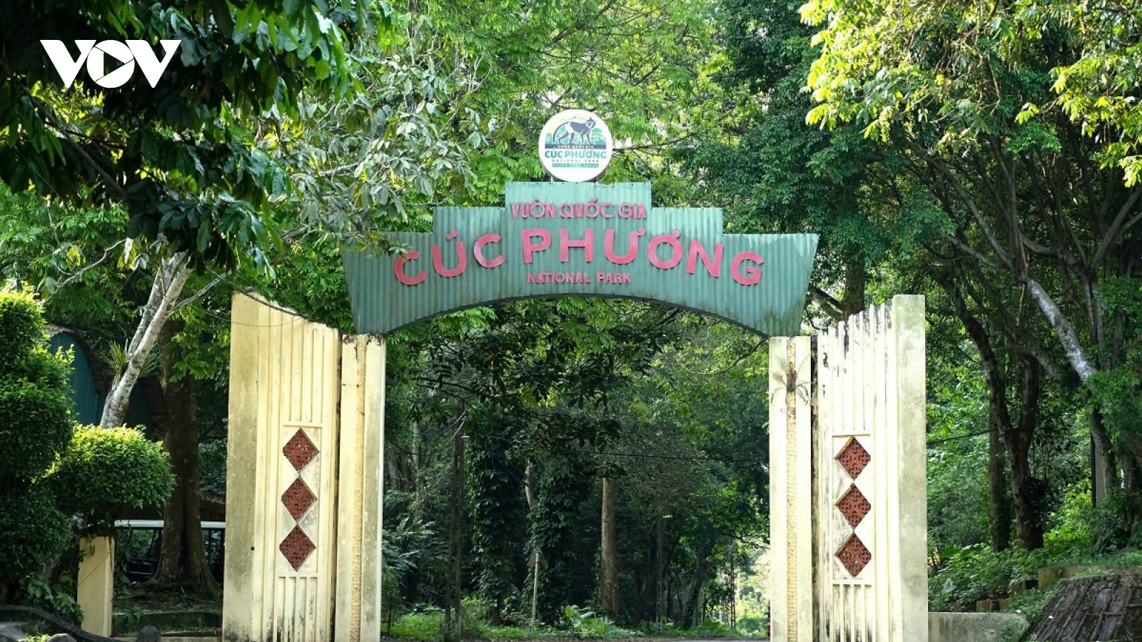 Du khách tử vong trong rừng Cúc Phương đam mê du lịch và từng nhiều lần ...