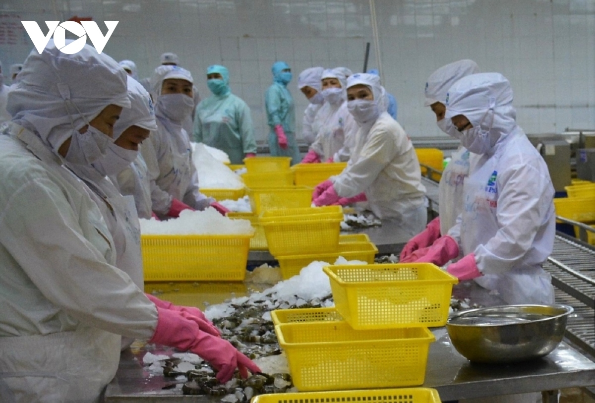 Shrimp exports to US, China endures double-digit decrease in July