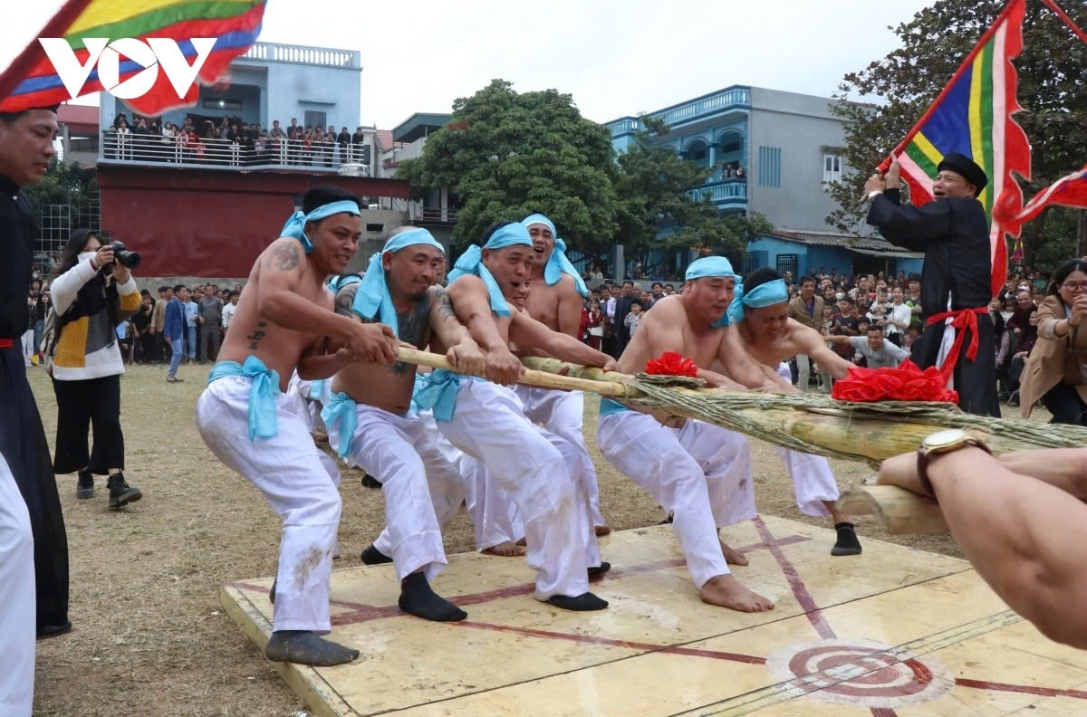 One-of-a-kind bamboo tug-of-war ritual: facts and figures