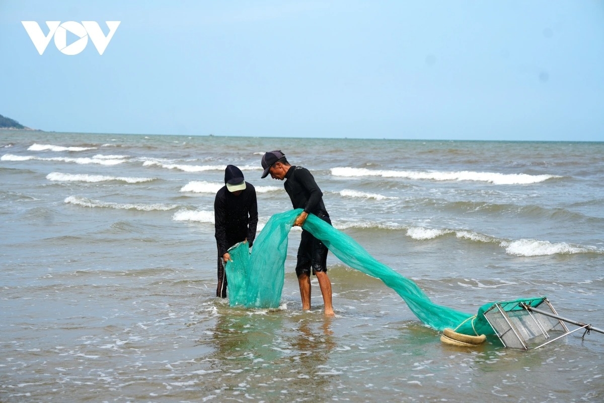 A hardworking day of mini clam diggers along Thanh Hoa beach