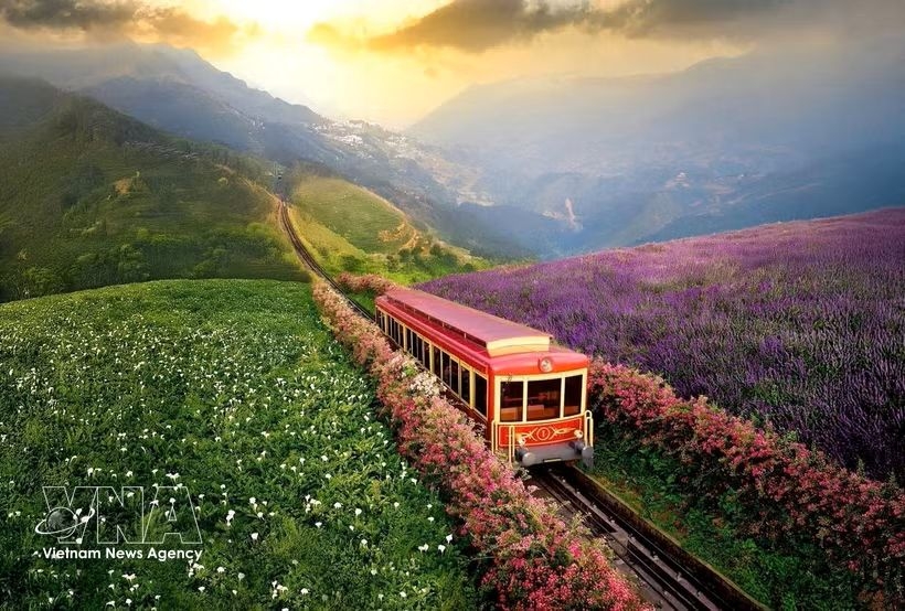 Vietnam’s tourism sector accelerates green transition