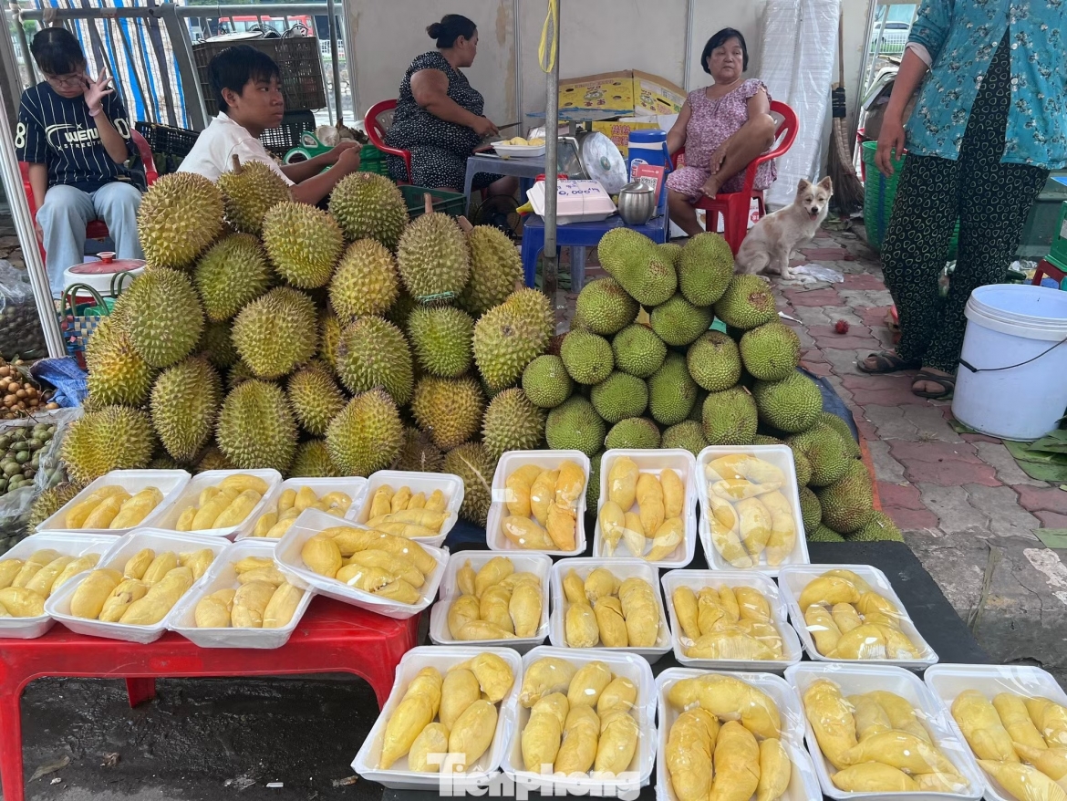 230 booths showcase Mekong Delta fruits and specialties in HCM City