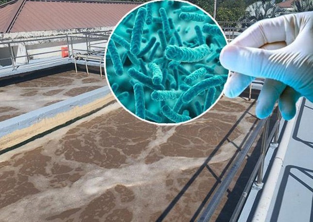 Potential for Vietnam-China cooperation in pollution-control technologies