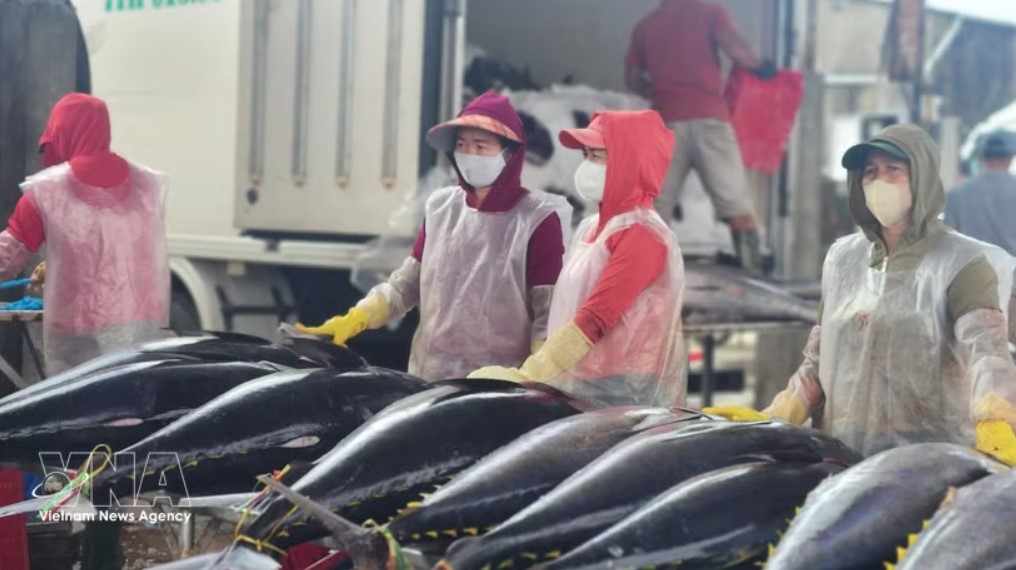 Aquatic products face challenge of maintaining market share in US