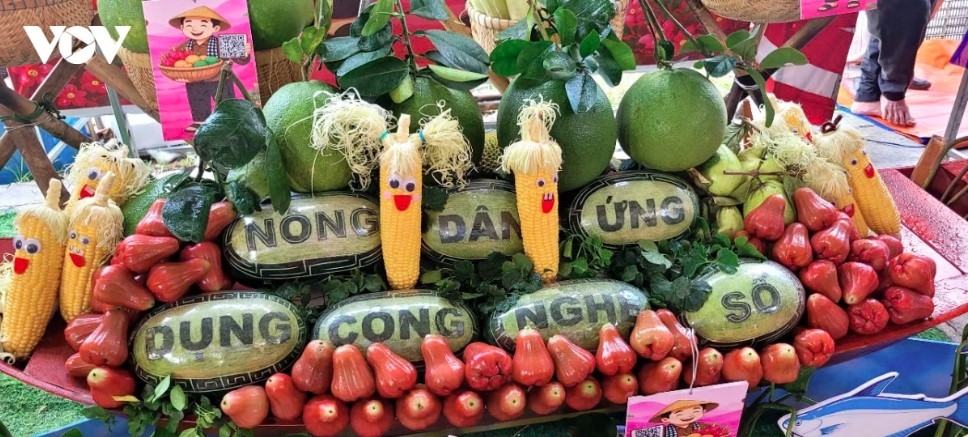 Dong Thap, home to renowned specialty fruits of southern Vietnam