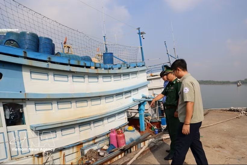 Ho Chi Minh City accelerates rollout of electronic fishing logbooks