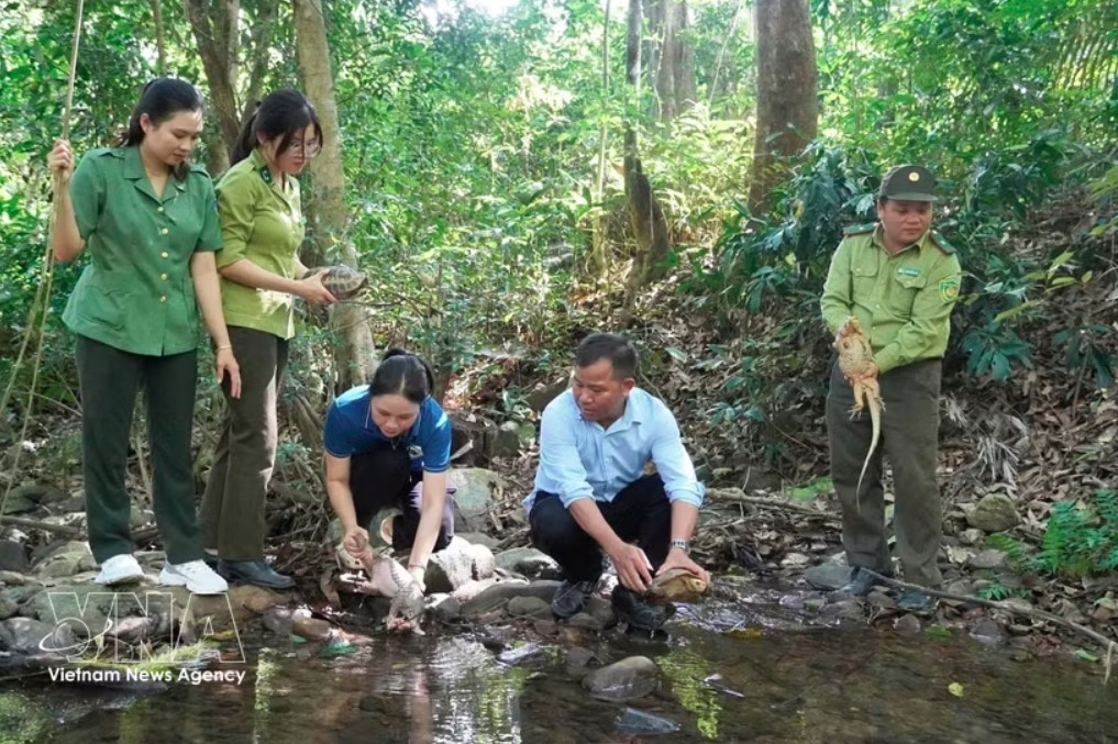 Four rare wild animals released back into natural habitat