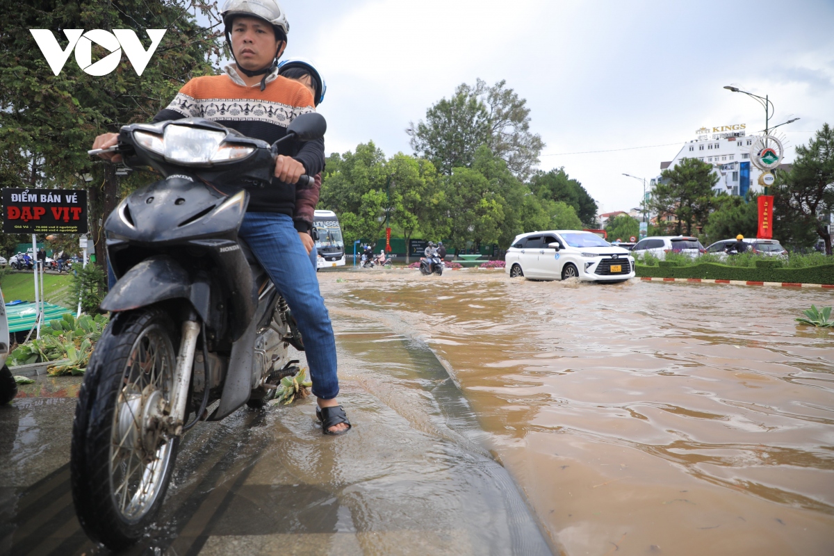 Đà Lạt mưa lớn gây ngập lụt, nhiều cây xanh ngã đổ