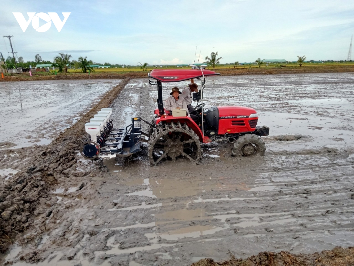 Thâm canh quá mức, vựa lúa ĐBSCL đối mặt suy thoái đất