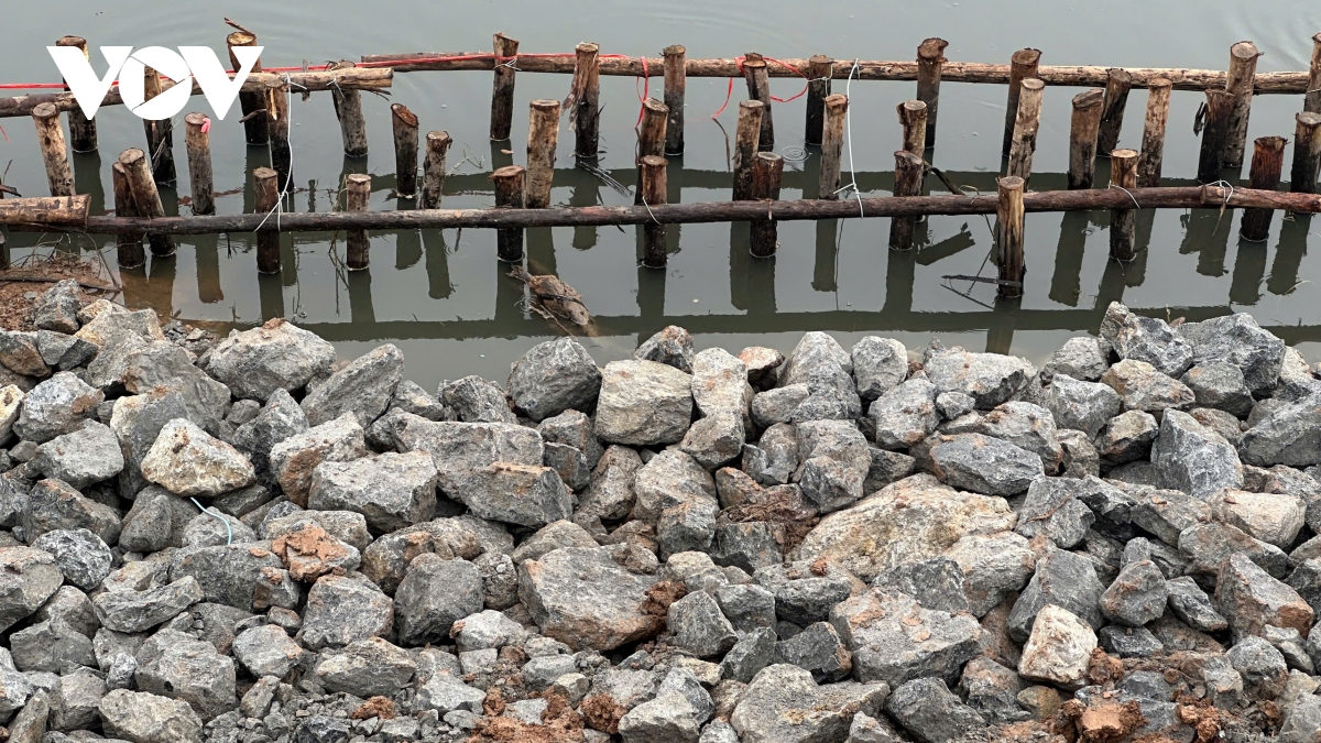 Đê sông Nhuệ rạn nứt, xuất hiện sạt lở nguy cơ mất an toàn