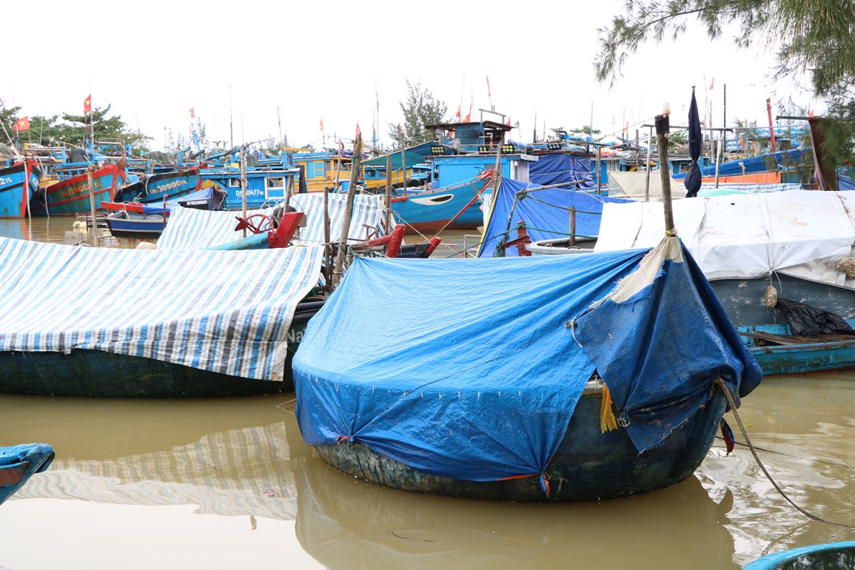 Ngư dân Đà Nẵng nhanh chóng đưa tàu thuyền đi trú bão