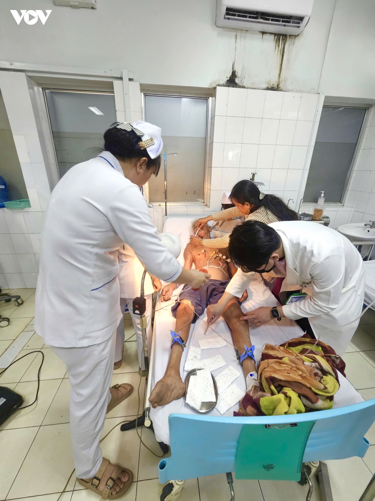 Ông lão 74 tuổi bị ong đốt hơn 100 vết tại Đồng Tháp