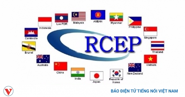 Businesses advised to improve knowledge to optimize chances from RCEP