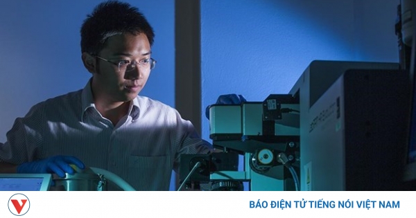 Vietnamese scientist in Australia honoured with science-technology prize