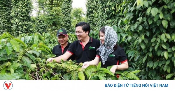 Nestlé helps farmers shift to regenerative agriculture