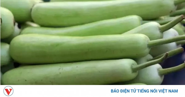 Lợi ích từ những món ăn với quả bầu vừa ngon, lại bổ, rẻ