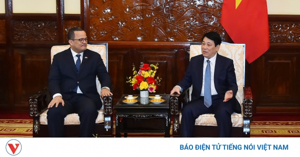 Chủ tịch nước Lương Cường tiếp Đại sứ Dominacana đến chào từ biệt