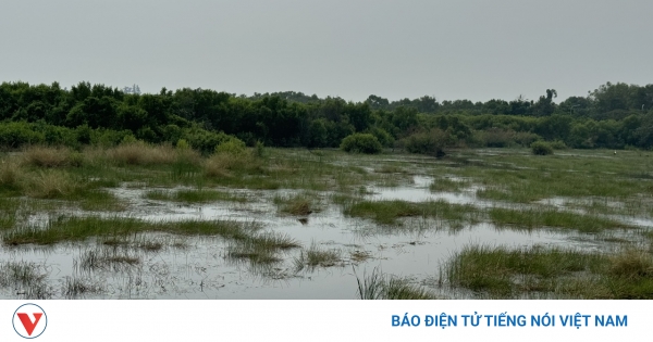 Bà Rịa - Vũng Tàu cảnh báo rao bán 'siêu dự án' ven biển trái phép