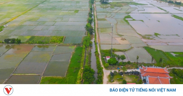 Người dân Yên Phong mong mỏi làm rõ trình tự thu hồi đất dự án KCN Vsip ...