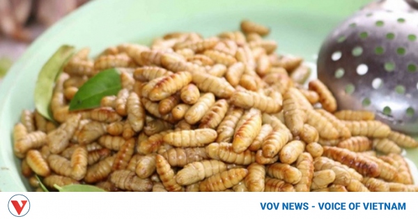 Vietnam granted permission to export edible insects to EU | VOV.VN