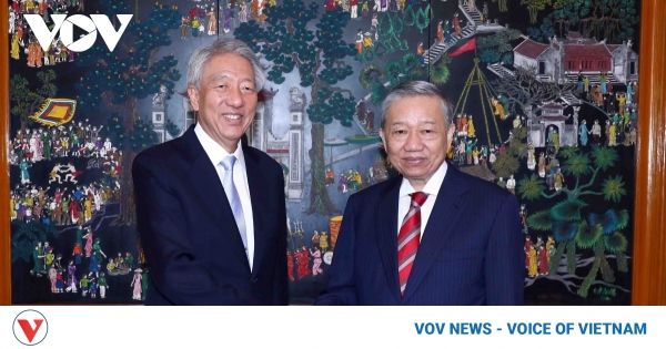 Vietnam and Singapore boost national security cooperation