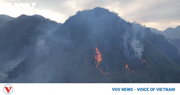 Hoang Lien National Park forest fire under control