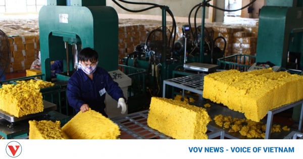 Ample room ahead for Vietnamese rubber exports to US