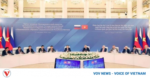 Joint statement issued at Vietnam-Russia Inter-Parliamentary Committee ...