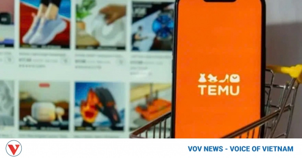 Temu yet to register for operation in Vietnam