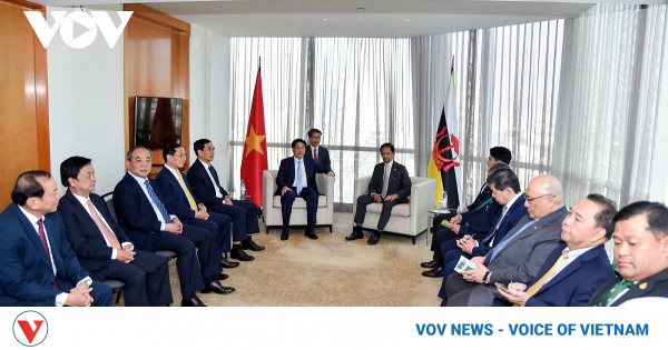 Vietnam and Brunei vow to foster comprehensive partnership