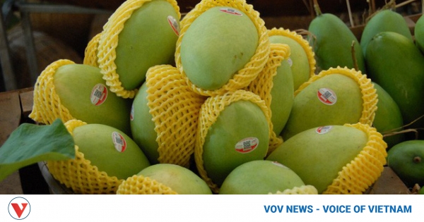 Fruit and vegetable industry to set standards for key export products