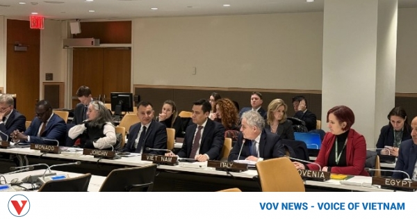 Vietnam named co-coordinator for UN pandemic response conference