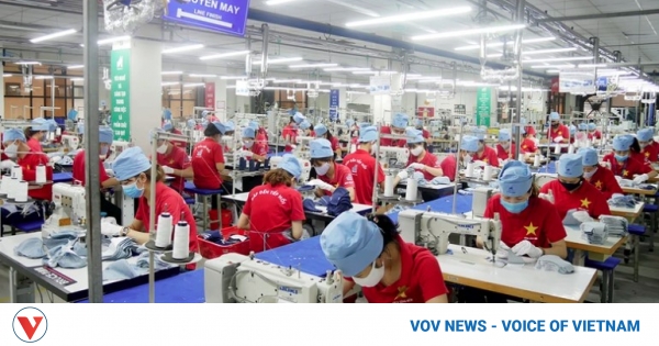 Import-export activities burgeoning in early days of 2025