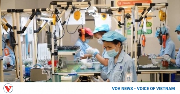 Vietnam's digital tech sector boasts nearly 74,000 companies