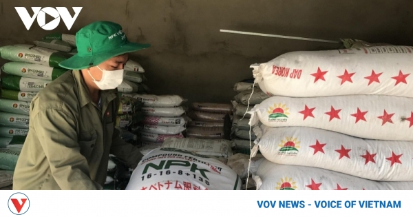 2024 fertilizer exports exceed US$700 million