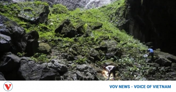 Vietnamese scientists discover new snail species in world’s largest cave