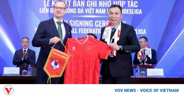 VFF, Bundesliga extend partnership until 2028 to elevate Vietnamese ...