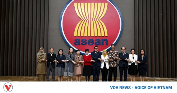 Vietnam chairs IAI Task Force meeting in Indonesia