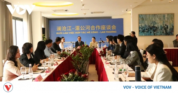 Da Nang seminar seeks to foster Mekong-Lancang cooperation