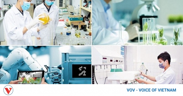 Vietnamese lecturers join Russia’s high-tech summer training program ...