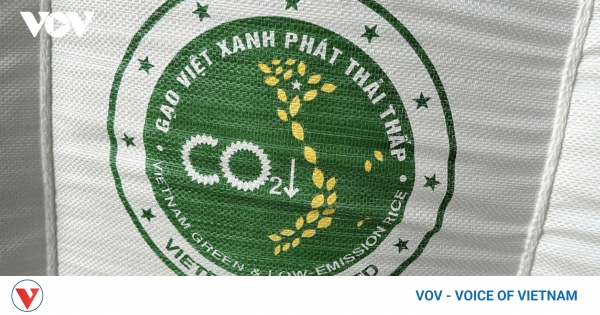 Vietnam ships first batch of low-emission rice to Japan