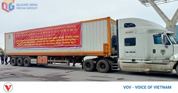 Vietnam exports first batch of frozen durian to China