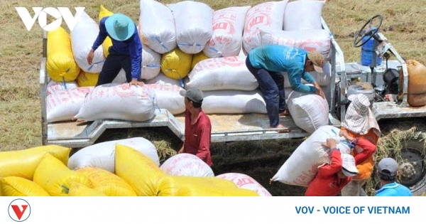 80 years on: Vietnam emerges from rice importer to Top 3 global exporter