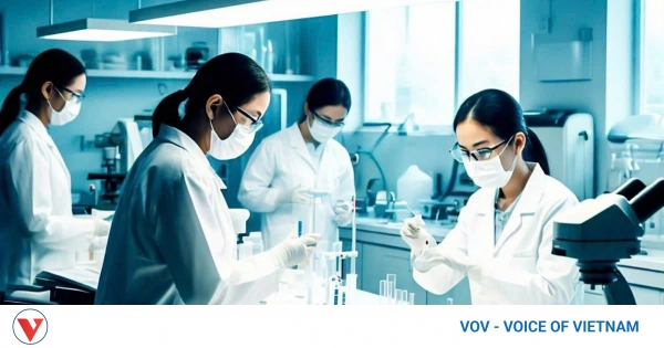 Vietnam introduces special incentives to attract talented officials ...