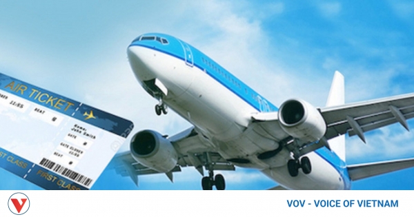 Domestic airlines to increase flights to serve travel demand during Tet ...