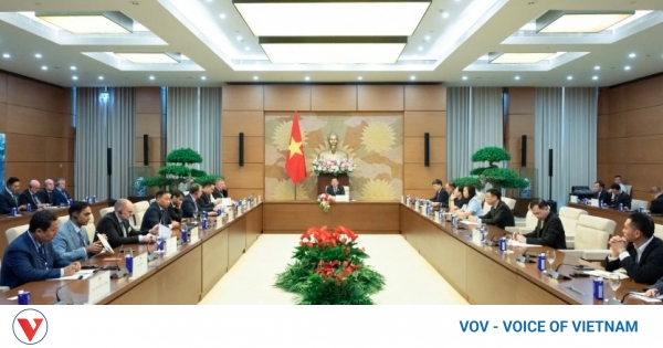NA Vice Chairman urges stronger GWEC support for Vietnam's energy ...