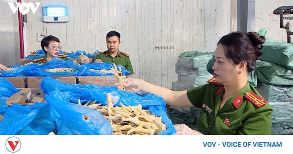 Hanoi police bust nearly 10,000-tonne chicken feet smuggling case
