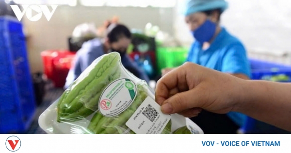 Product traceability system launched to boost market transparency ...